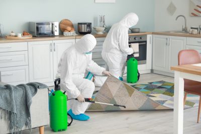 Effective Reliable Home Fumigation Services for Pest Control